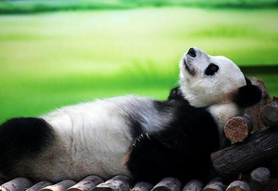 Hypnotherapy Sessions - Mindworks Hypnotherapy